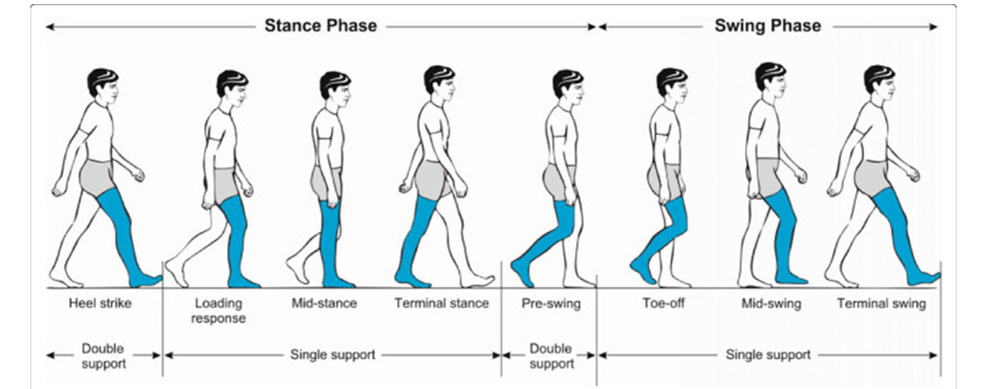 Can Walking Tone Your Legs? The Types And Benefits Of Walking - Fitness ... Can Walking Tone Your Legs? The Types And Benefits Of Walking - Fitness ...